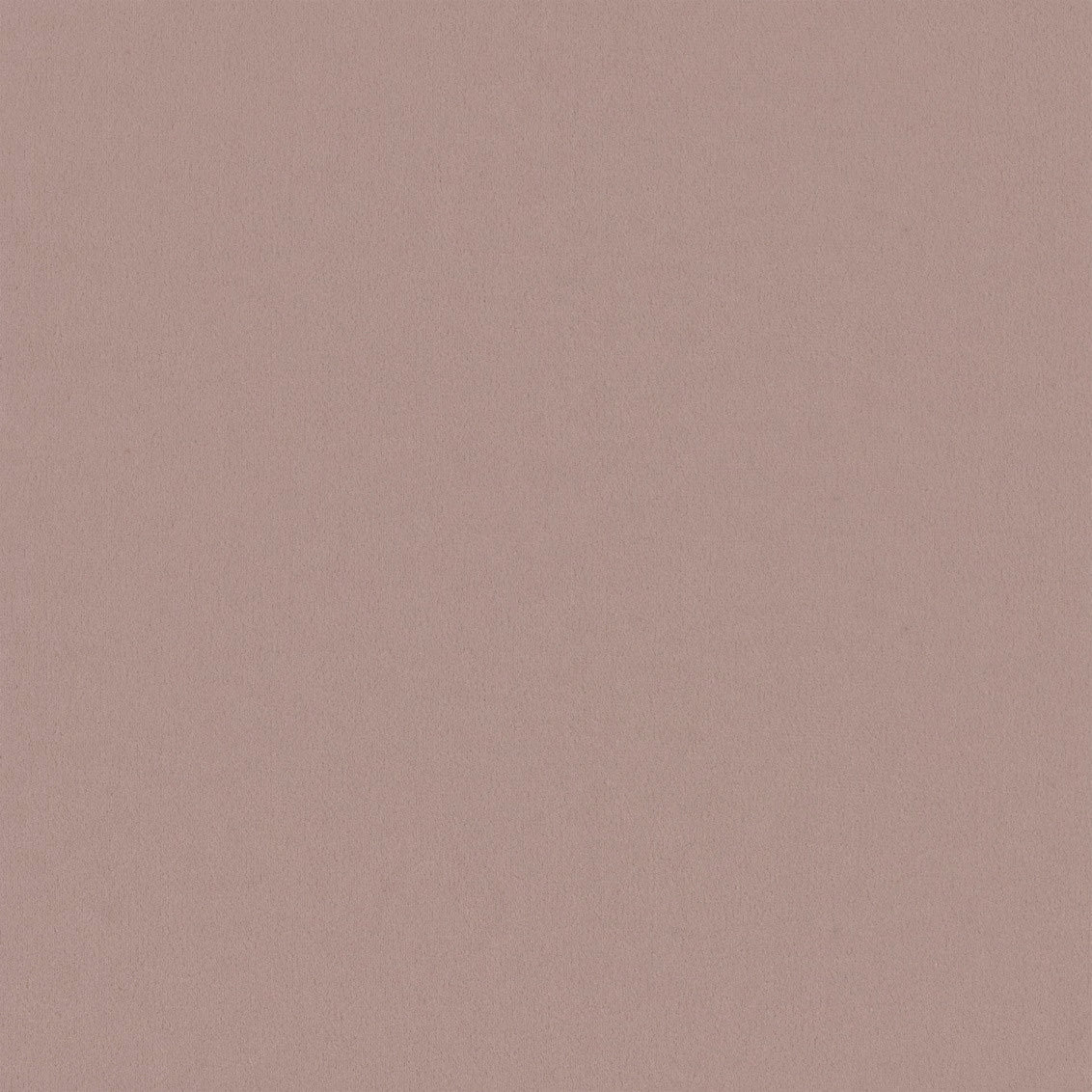 Kaiser Box Bed - Blush Plush Velvet - Tandem Arbor