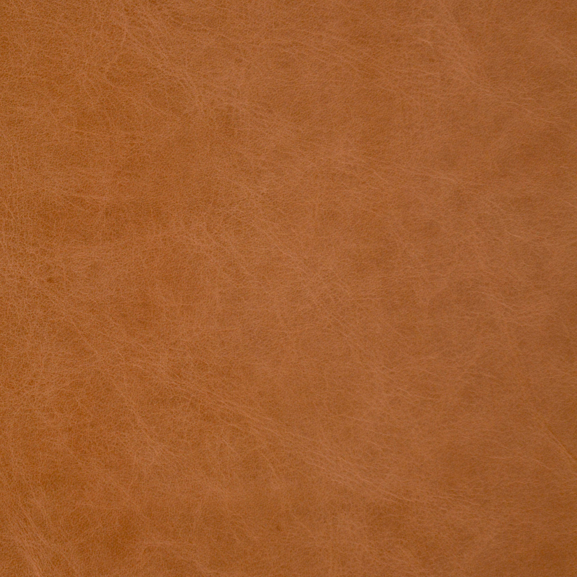 Seamless Distressed Leather Texture
