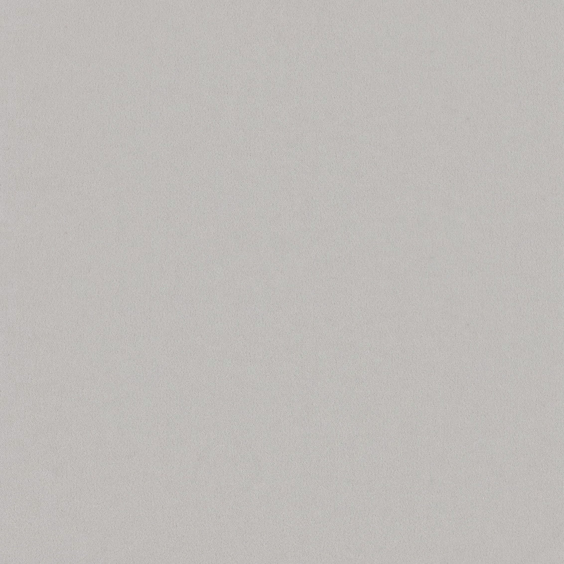 Aleksandar Dining Chair - Silver Streak Plush Velvet - Tandem Arbor